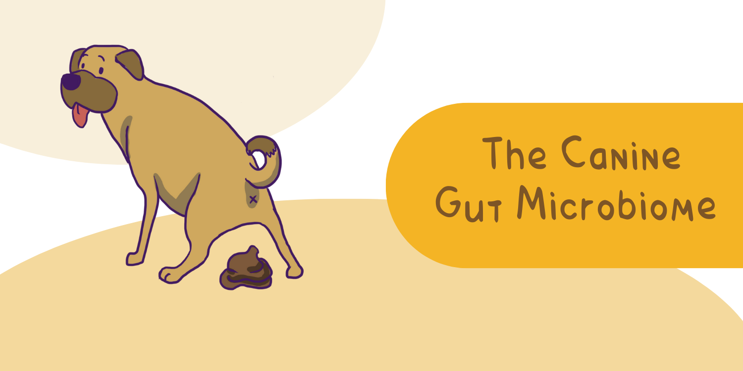 THE SCIENCE BEHIND FRESH DOG FOOD