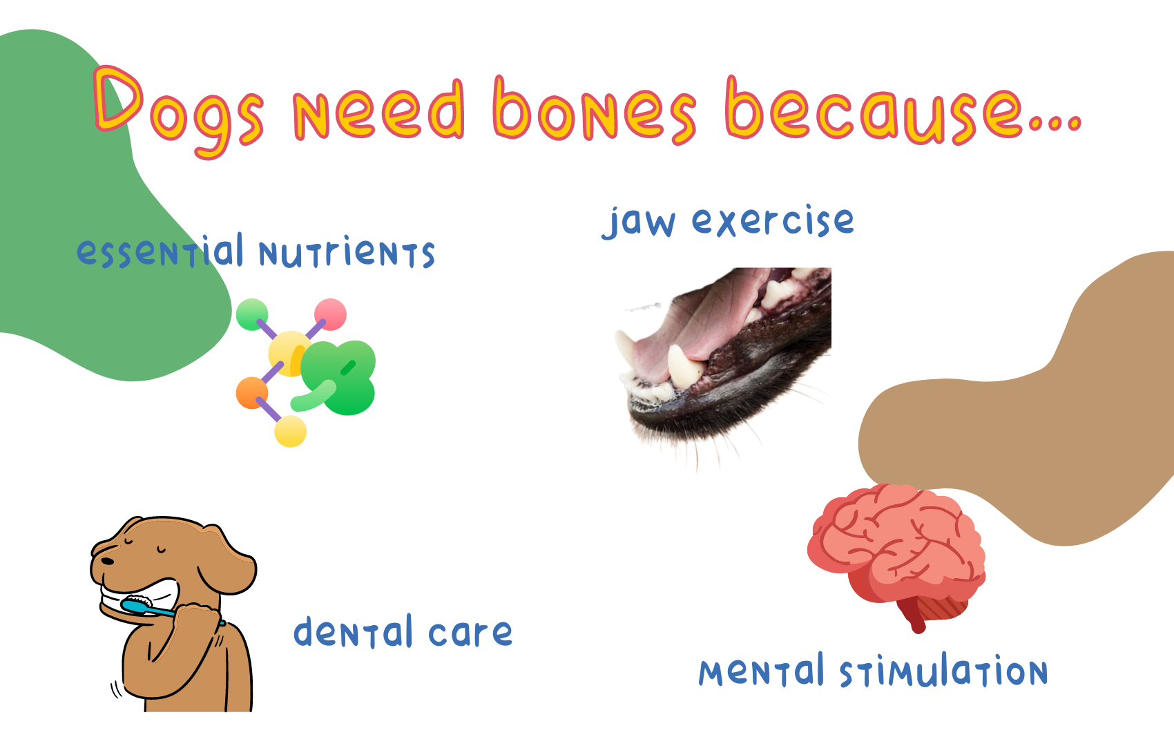 Myths and Truths about Air-Dried Bones versus Raw Bones