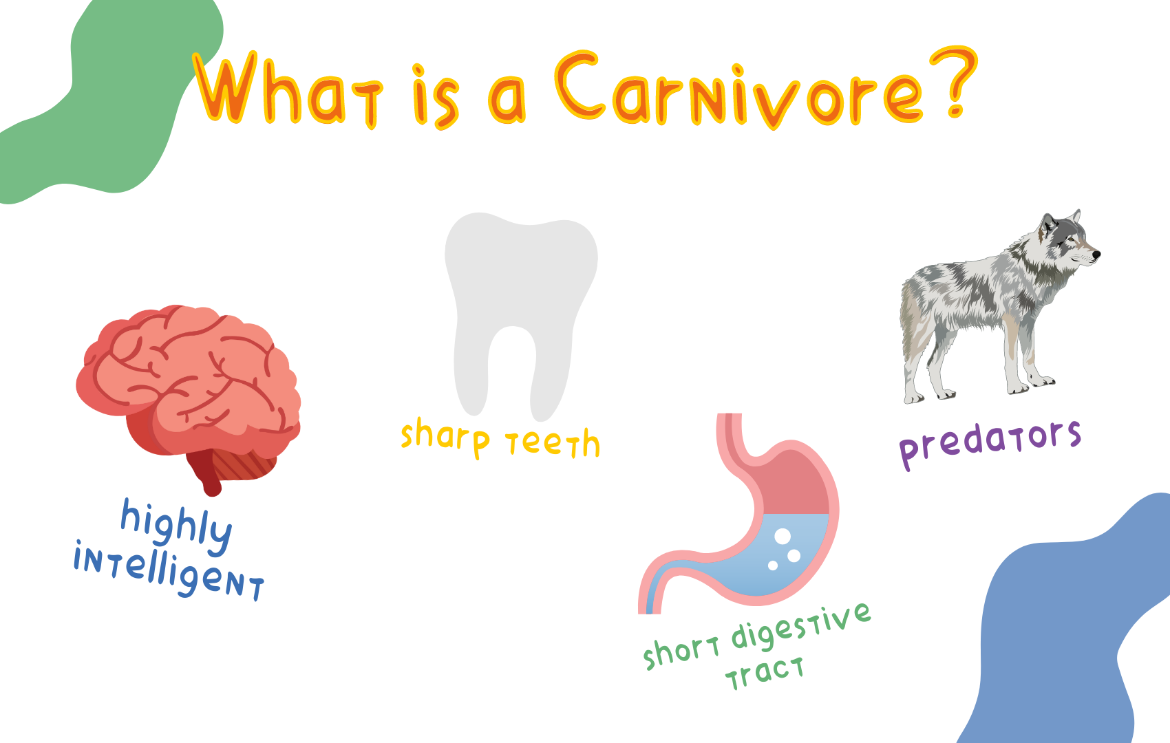 Are Dogs True Carnivores