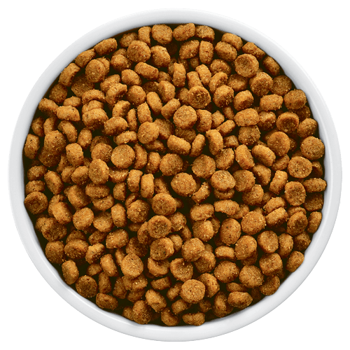 Heads, skin, fur, feet and feathers, oh my!