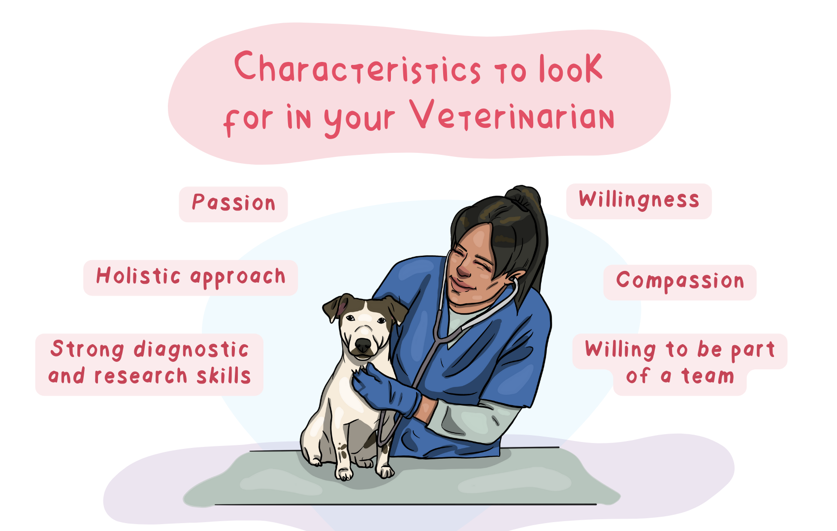 Finding a Veterinarian Who Supports Raw Feeding