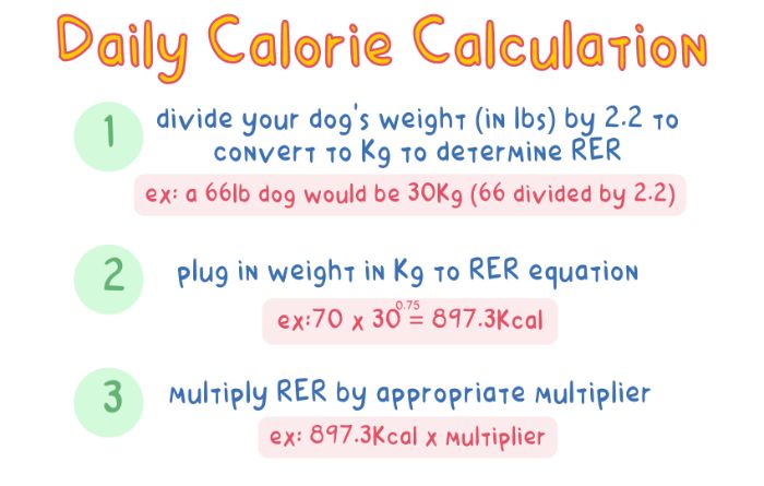 Making Your Dog's Bowl Without a Calculator