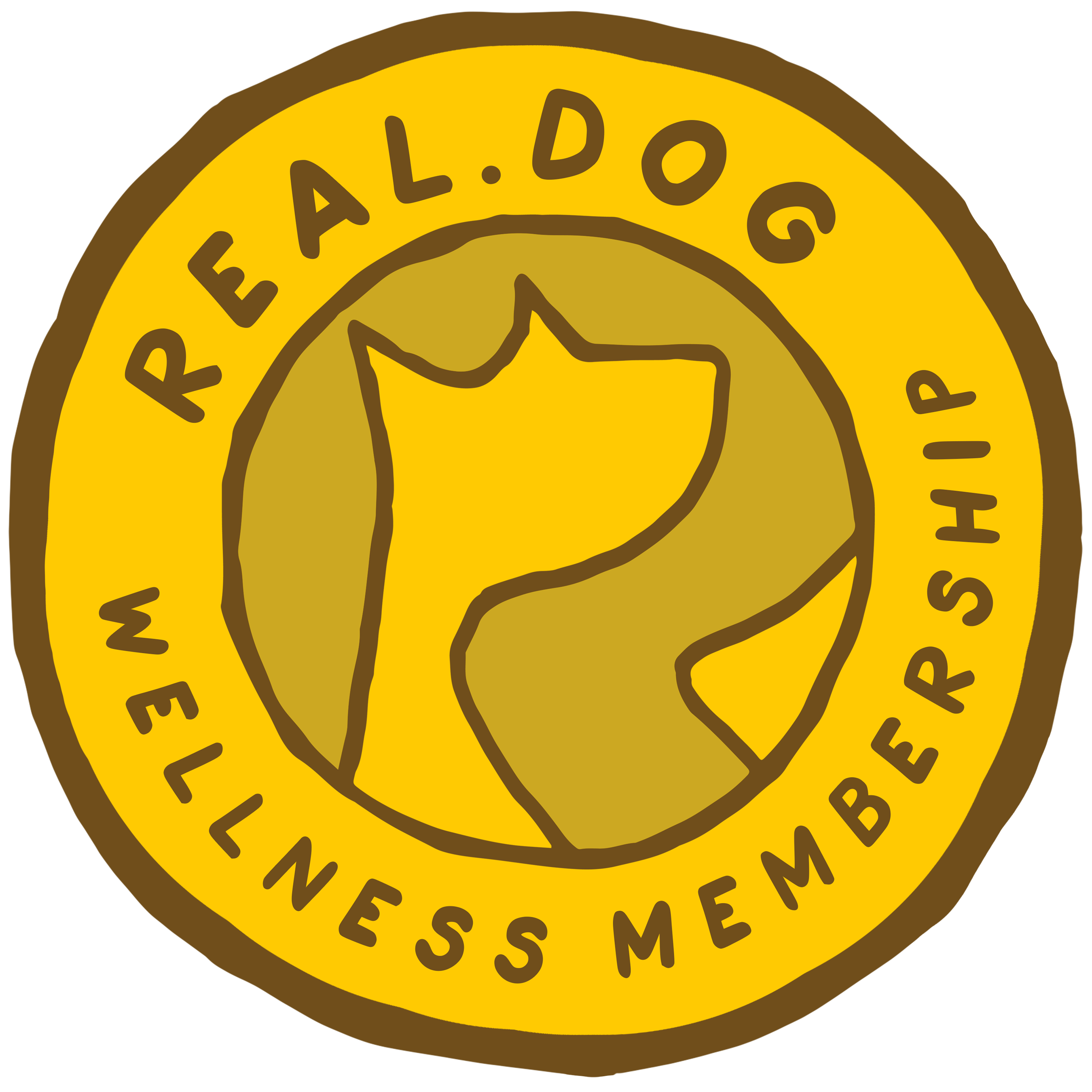 Chew Only Box: Ultimate Dog Engagement | Real Dog