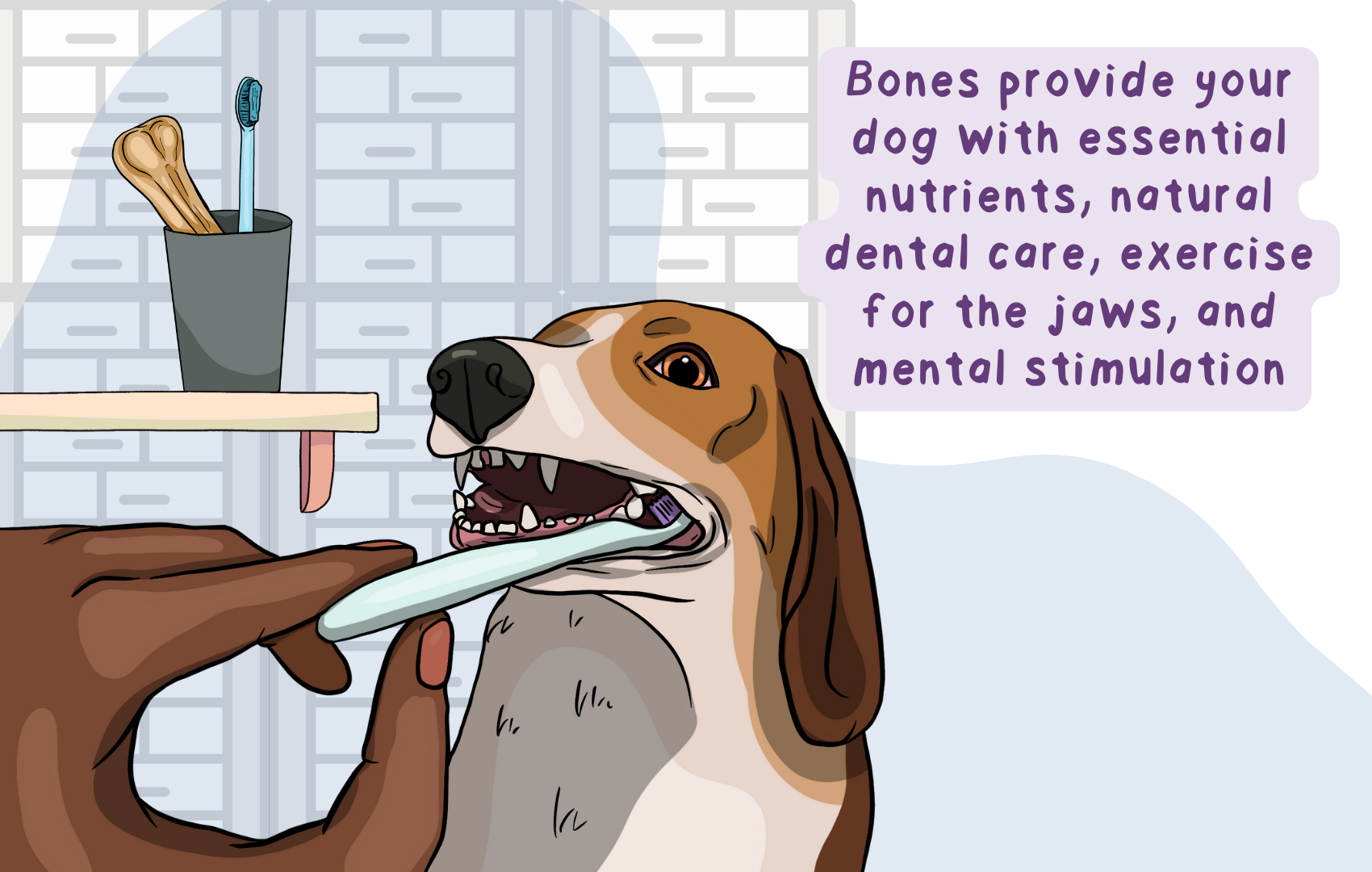 Myths and Truths about Air-Dried Bones versus Raw Bones