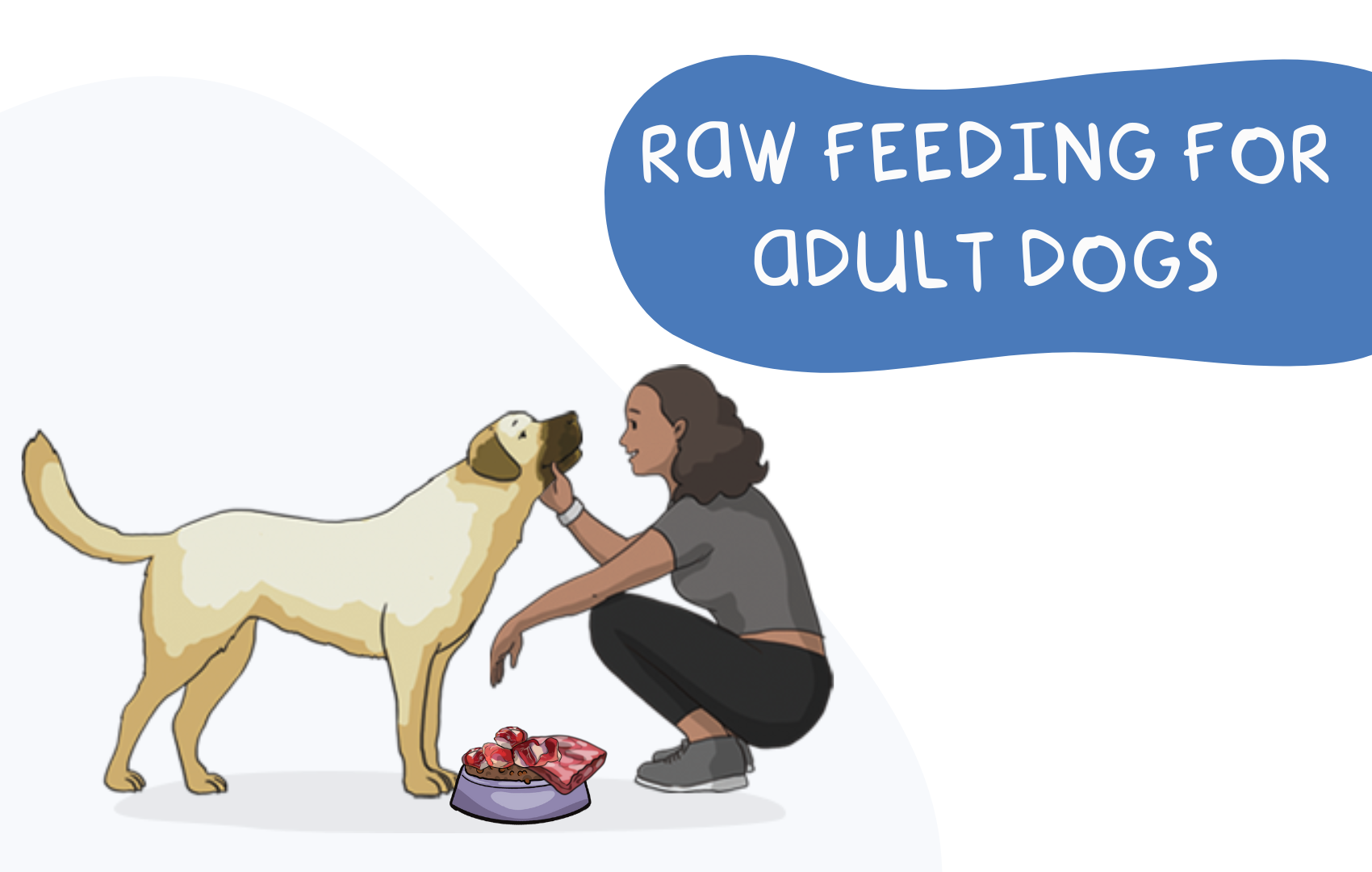 Raw Feeding Your Adult Dog